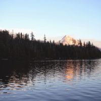 Blog – Keri McNamara